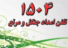 تخریب در عرصه های منابع طبیعی به 1504 اطلاع داده شود - ایمنا